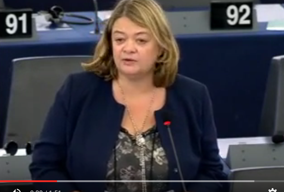 Isabelle Thomas : « Nous devons aborder le #Brexit avec la raison et l ...